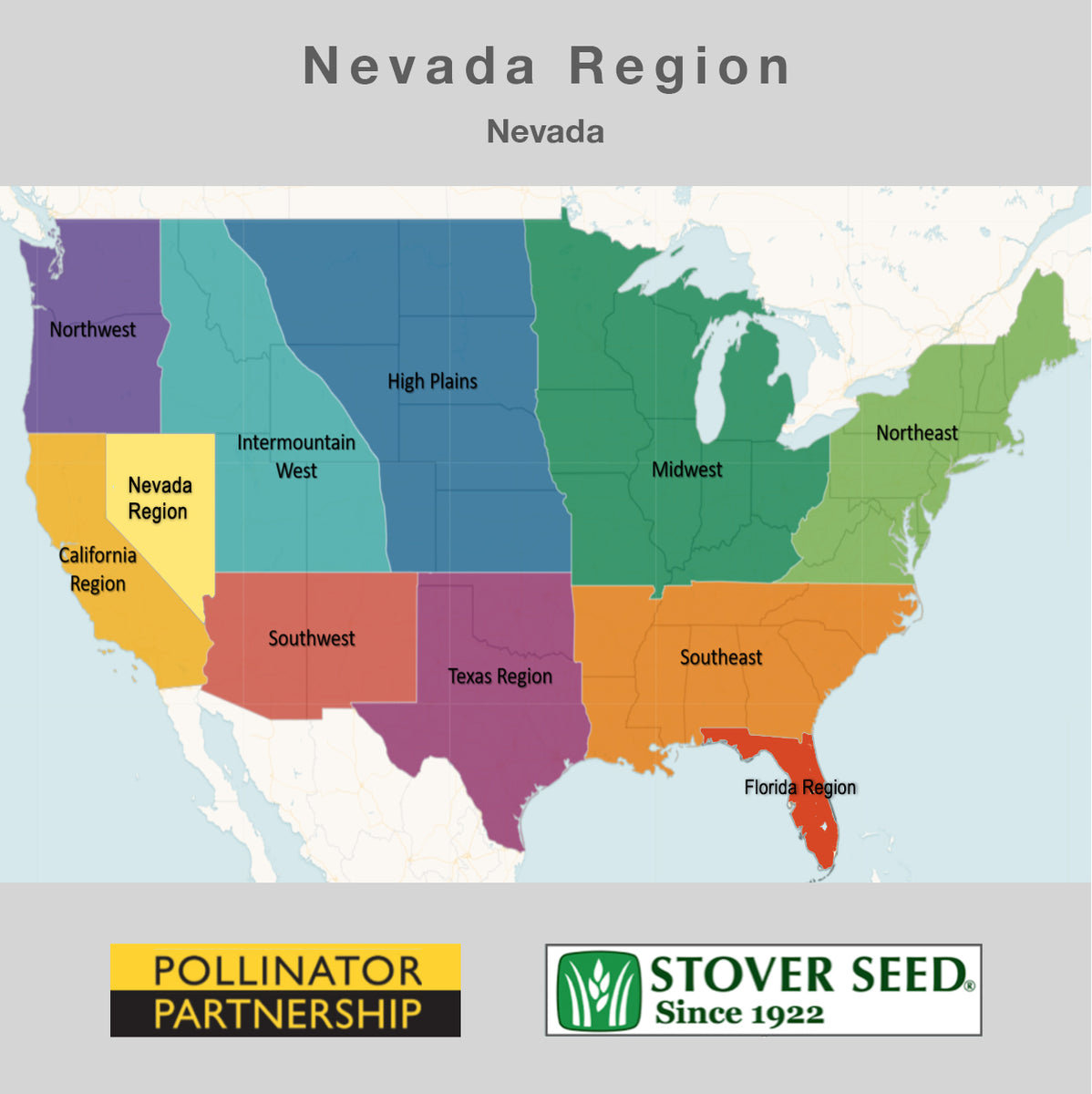 Nevada Native Pollinator Wildflower Mixture - Stover Seed