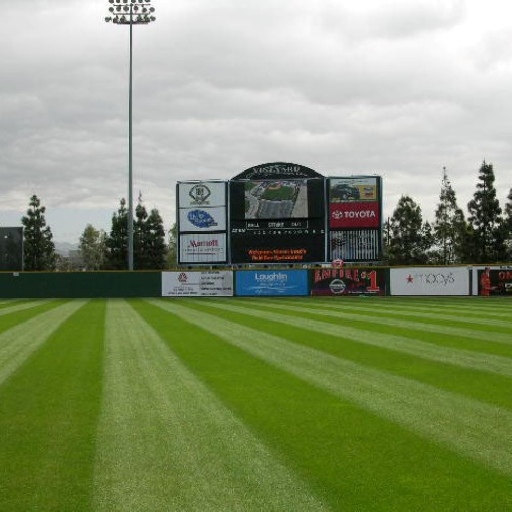 Grand Slam™ / Turf-Type Perennial Ryegrass Blend / Platinum Quality